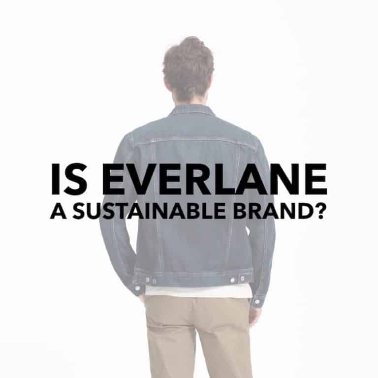 Is Everlane Truly a Sustainable Brand? | Eco-Stylist